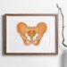 Pelvis Art Posters, Set of 2 Floral Pelvis Anatomical Digital Print ...