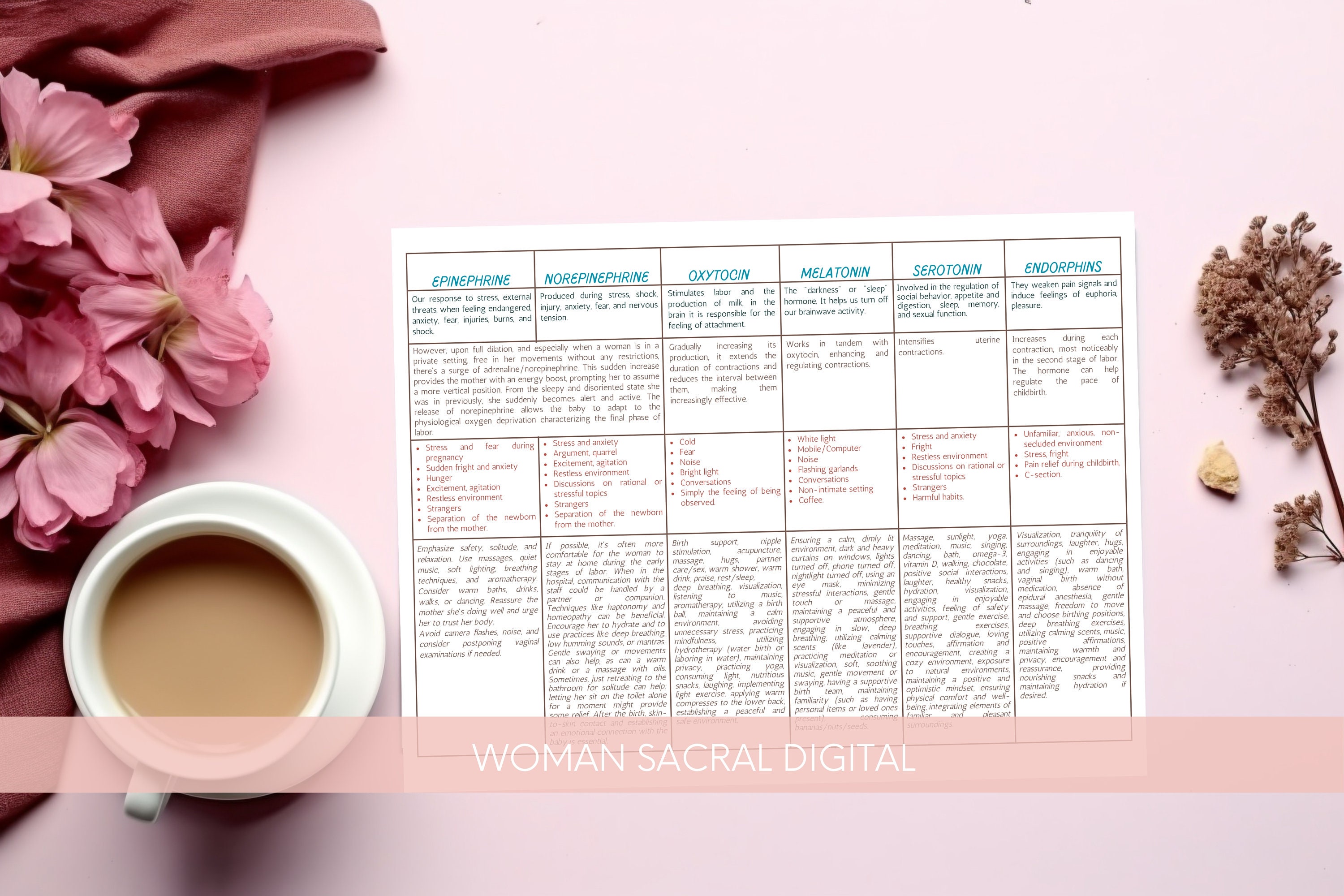 Birth Brain & Hormone Digital Guide: A Comprehensive Tool for Doulas, Birth Educators, and ...