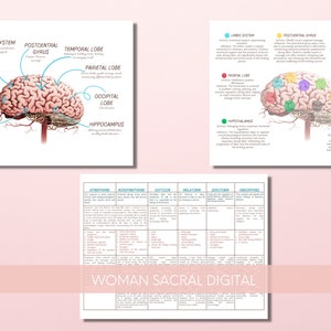 Birth Brain & Hormone Digital Guide: A Comprehensive Tool for Doulas ...