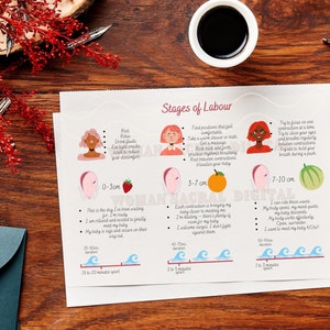 Stages of Labor and Delivery Poster and Birth Stages Cards. Birth ...
