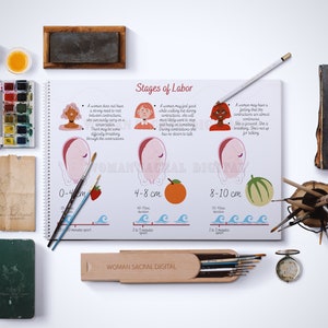 Stages of Labor and Delivery Poster and Birth Stages Cards. Birth ...