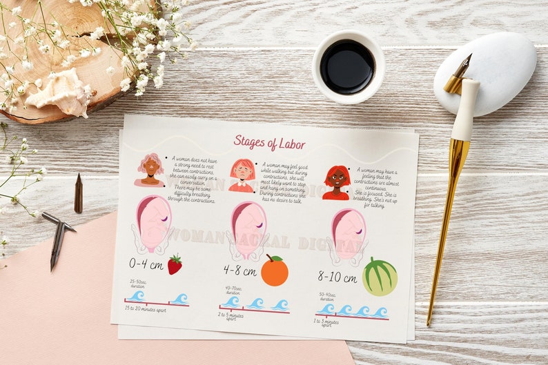 Stages of Labor and Delivery Poster and Birth Stages Cards. - Etsy