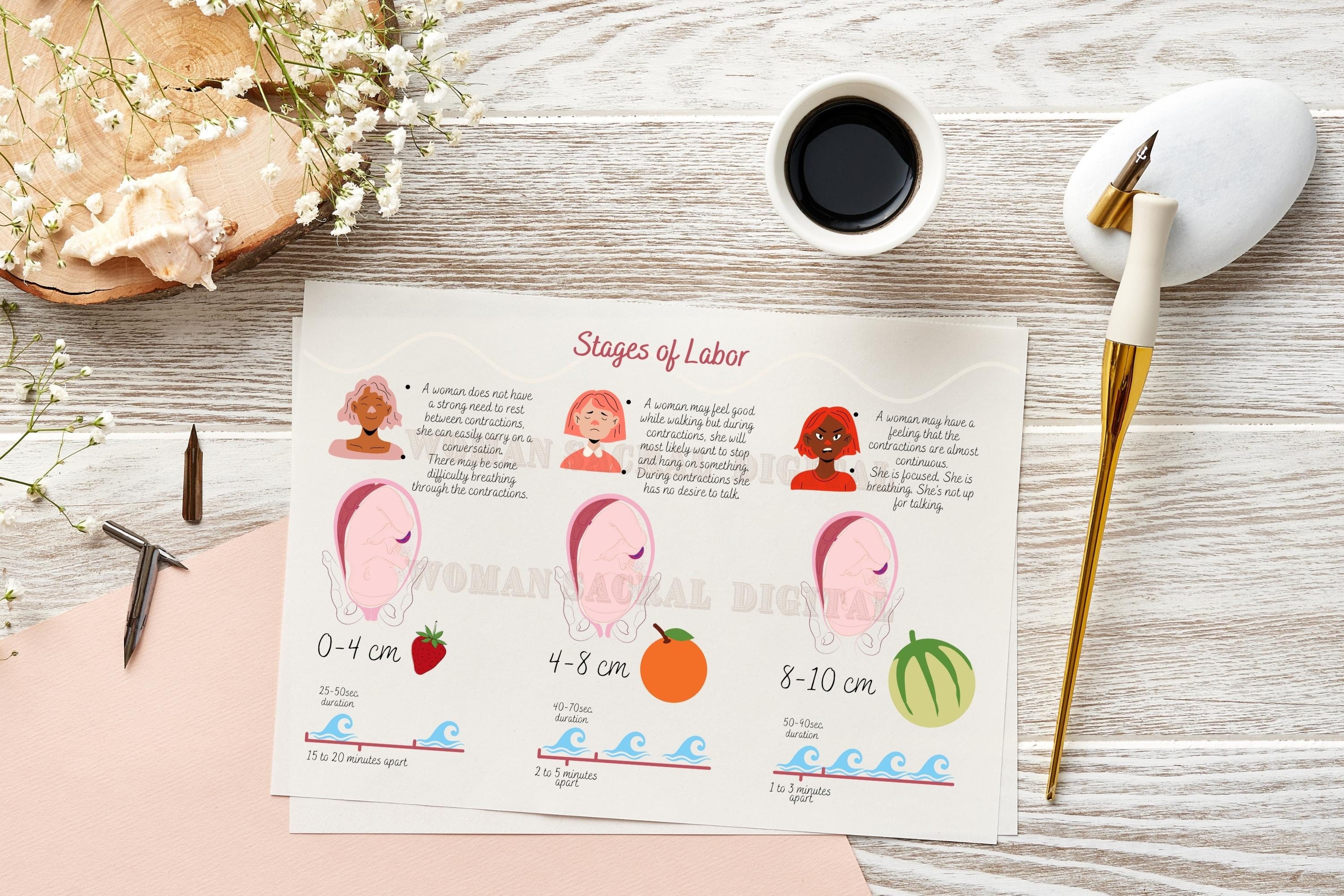 Stages of Labor and Delivery Poster and Birth Stages Cards. - Etsy