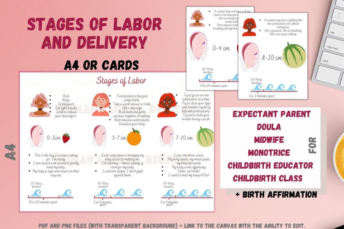 Stages of Labor and Delivery Poster and Birth Stages Cards. - Etsy