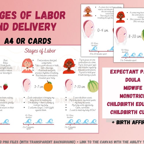 Stages of Labor and Cervical Dilation Birth Education Handout | Etsy