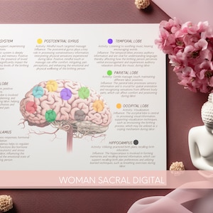 Birth Brain & Hormone Digital Guide: A Comprehensive Tool for Doulas ...