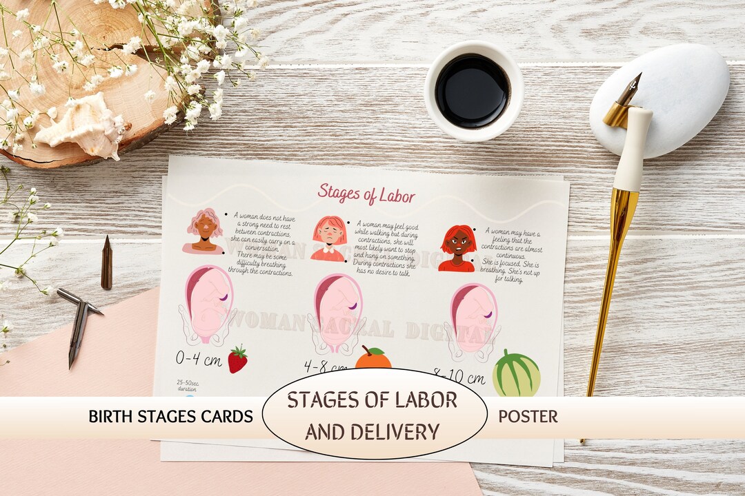 Stages of Labor and Delivery Poster and Birth Stages Cards. Birth ...