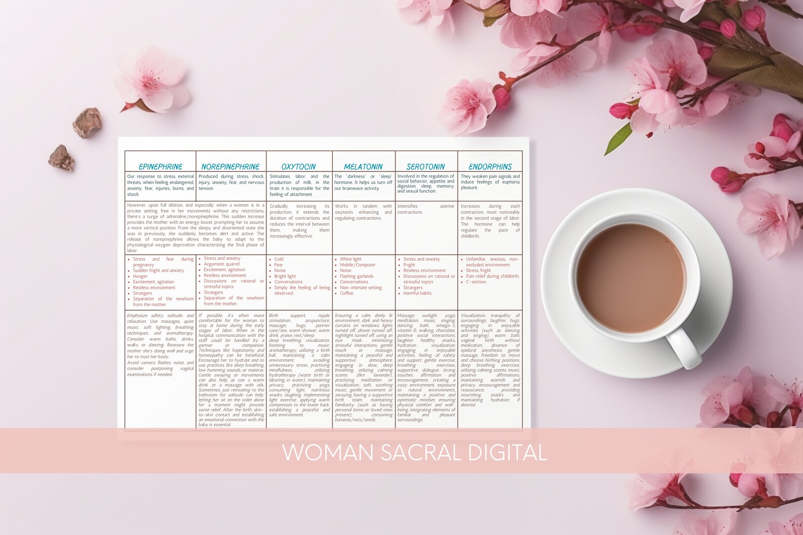 Birth Brain & Hormone Digital Guide: A Comprehensive Tool for Doulas ...