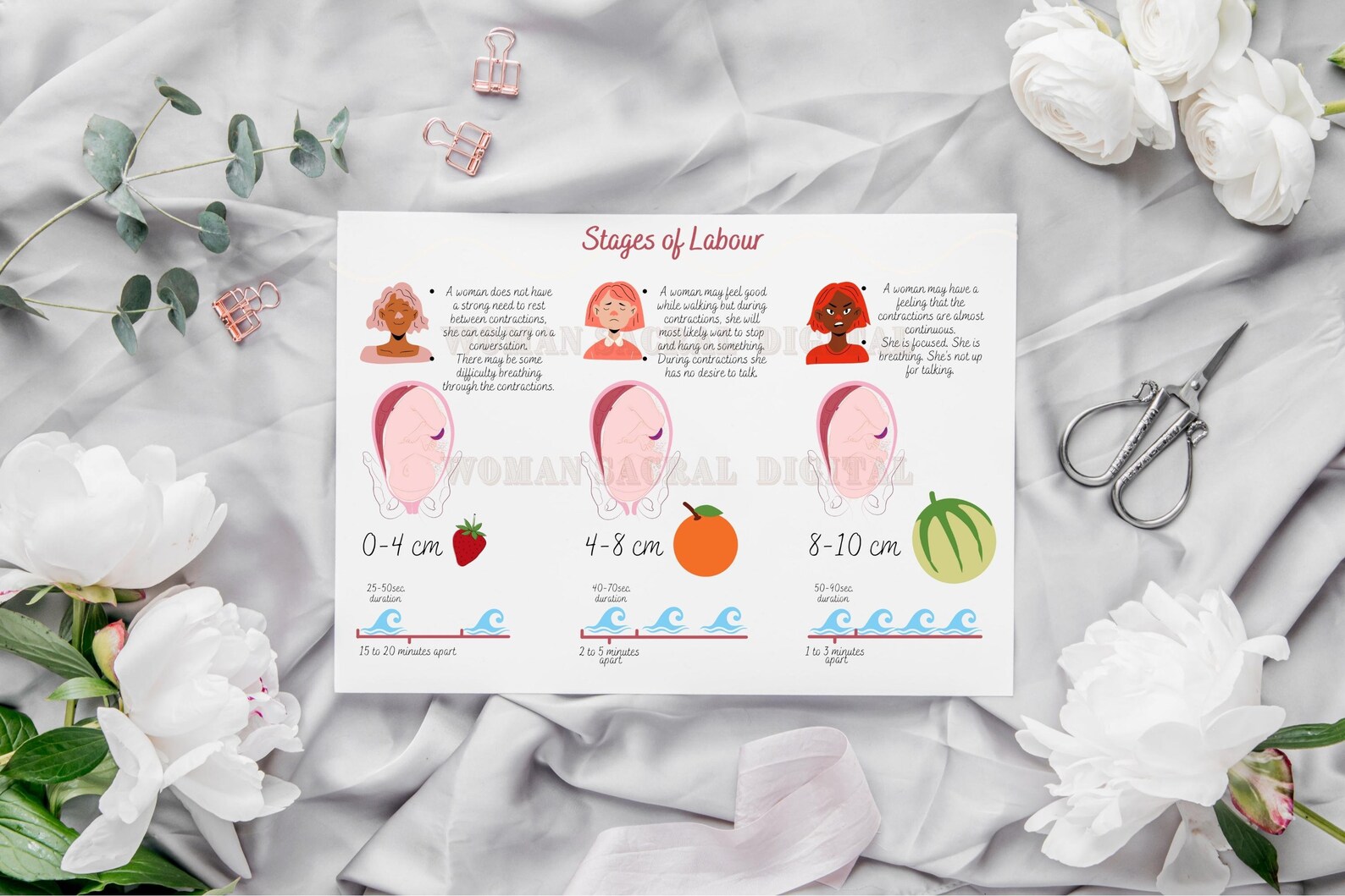 Stages of Labor and Delivery Poster and Birth Stages Cards. Birth ...