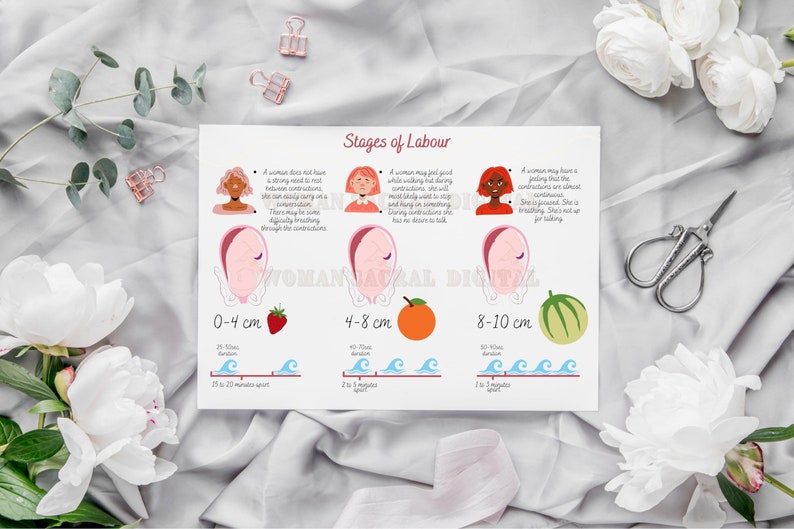 Stages of Labor and Delivery Poster and Birth Stages Cards. Birth ...