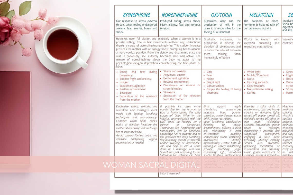 Birth Brain & Hormone Digital Guide: A Comprehensive Tool for Doulas ...