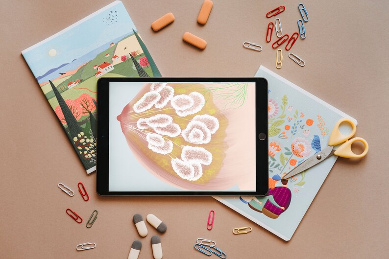 Anatomy of the Lactating Human Breast | Structure of the Breast ...