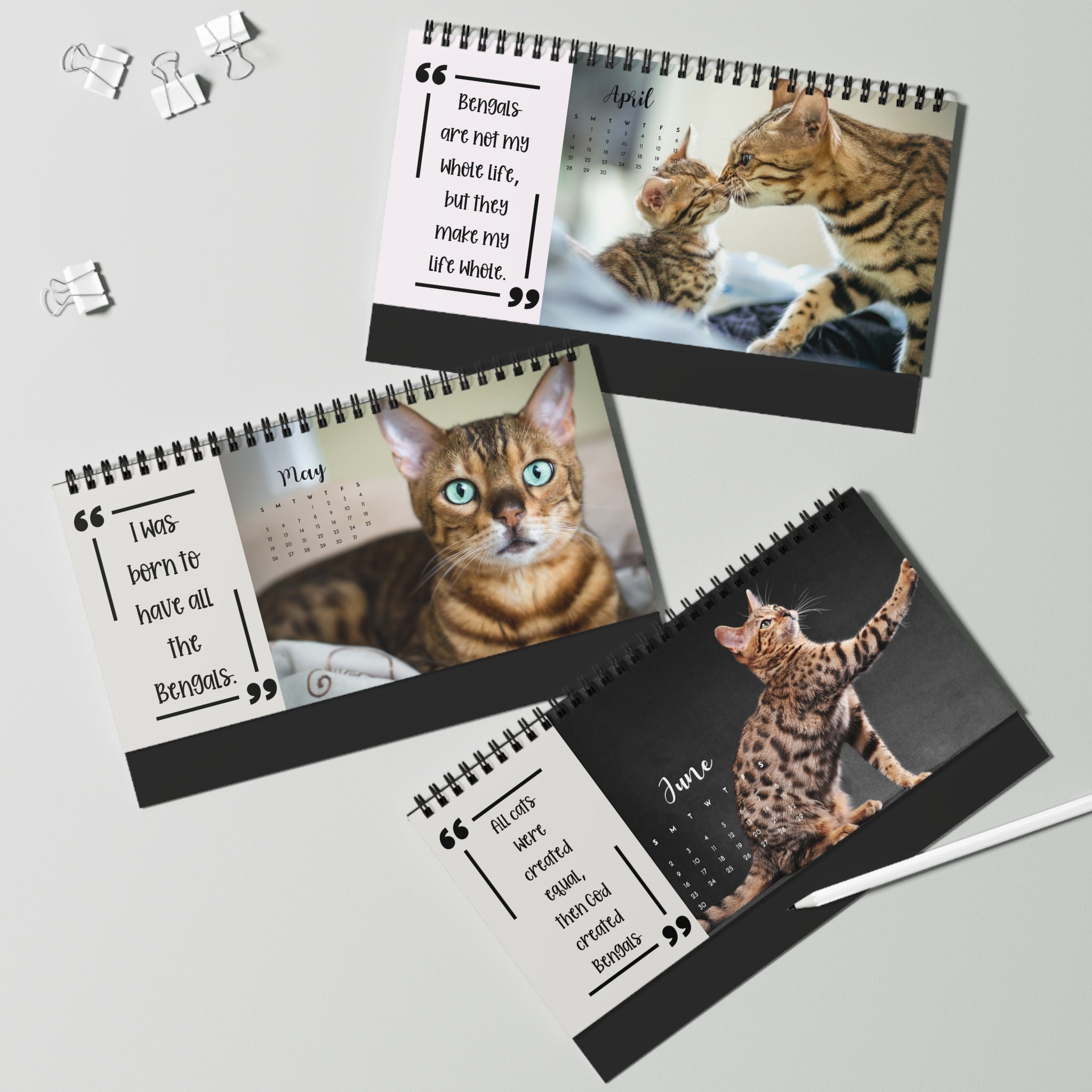 Bengal Cat Desk Calendar 2024, Cat Quotes, Bengal Cat Lover Gift ...