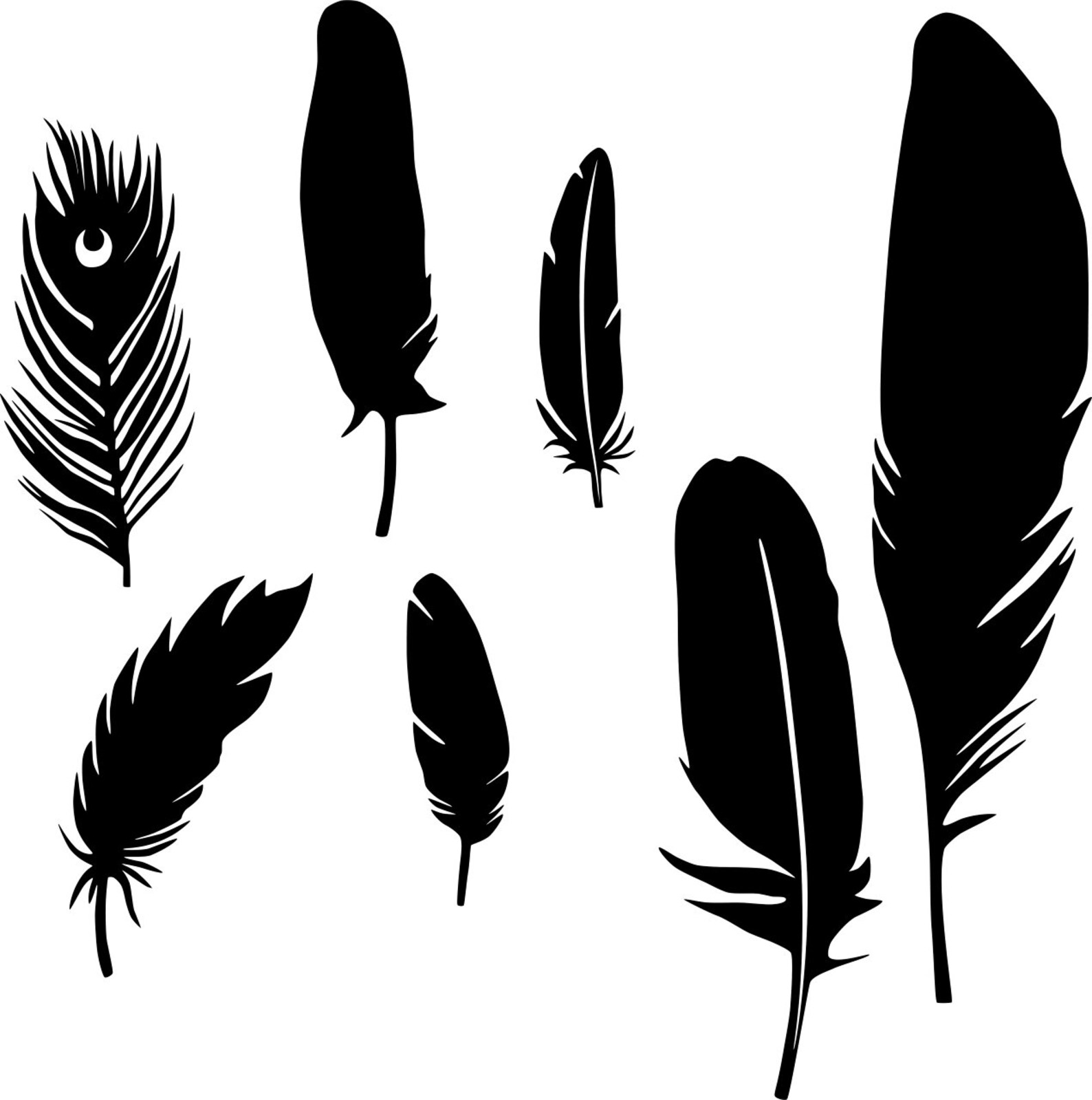 Feathers SVG - Etsy