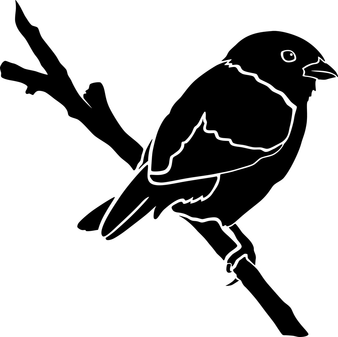 SVG Bird - Etsy