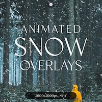 10 Animated Falling Snow Overlays | Animated Snow, Falling Snow Overlay ...