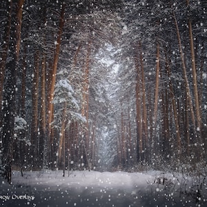 10 Animated Falling Snow Overlays | Animated Snow, Falling Snow Overlay ...