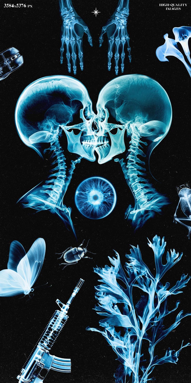 X Ray, 165 Digital X-ray Images, Skeleton, X-ray Flowers, Plants ...
