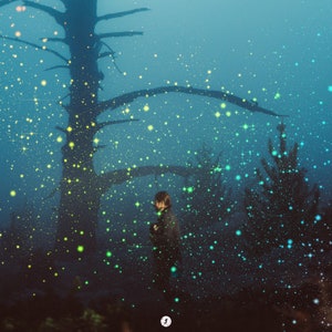 Rainbow Glitter Stars Overlays | Iridescent Magical Sparkling ...