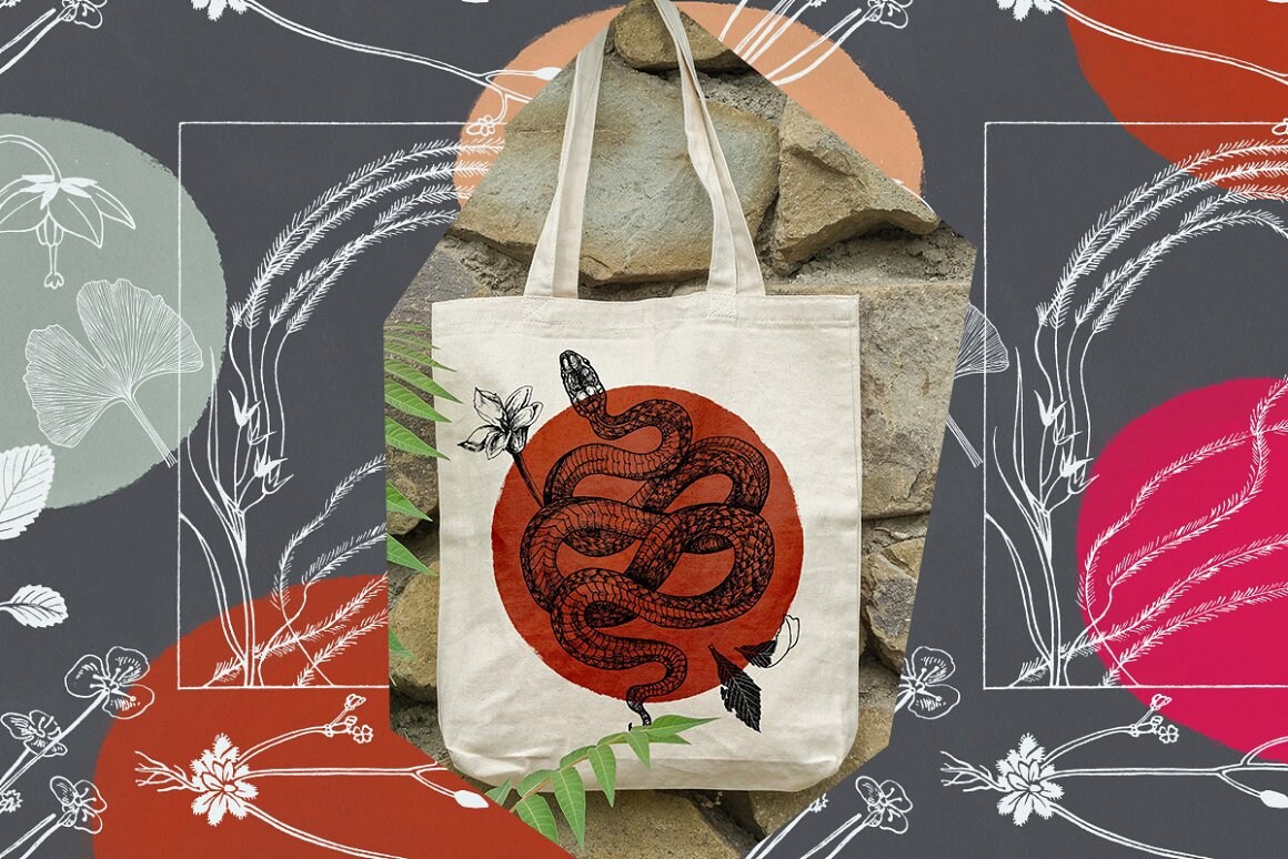 Botany and Snakes Graphic Set Snake PNG Illustrations, Botanical ...