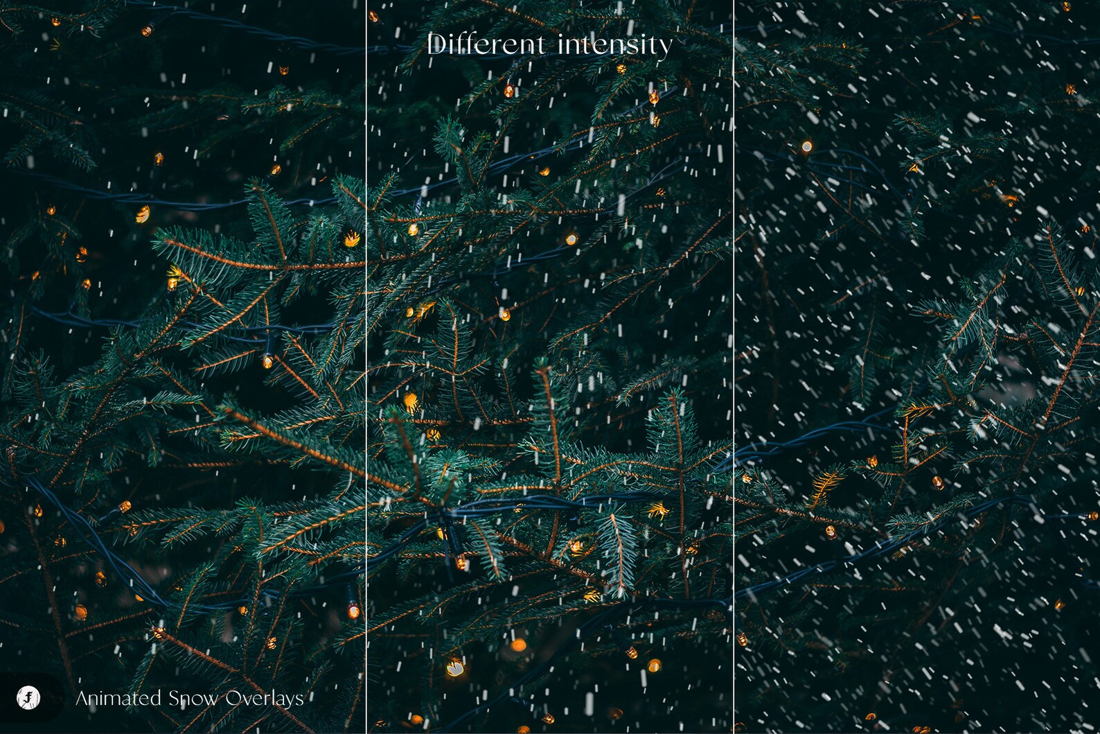 10 Animated Falling Snow Overlays | Animated Snow, Falling Snow Overlay ...