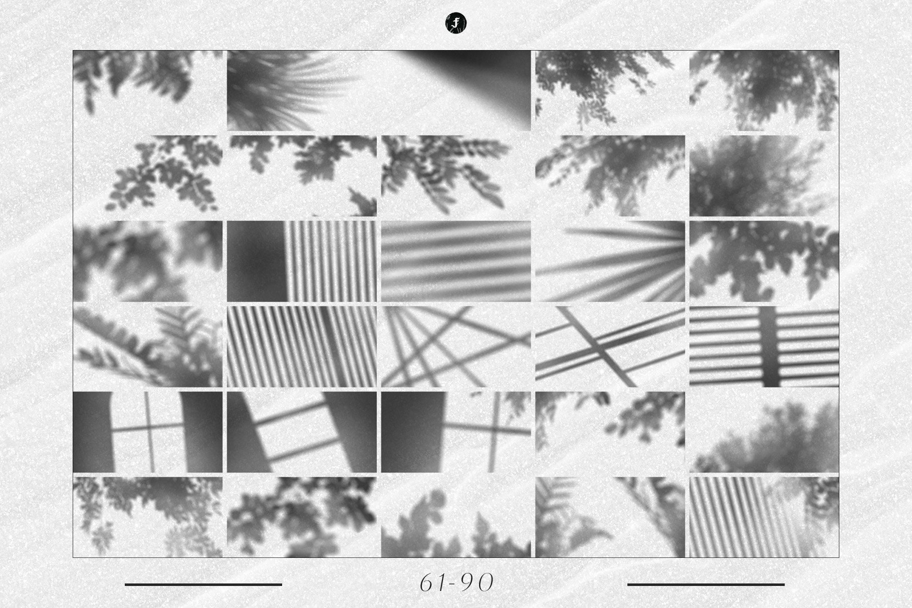 100 Shadow Overlays | Sunlight Shadow PNG Photo Overlays, Palm Shadow ...