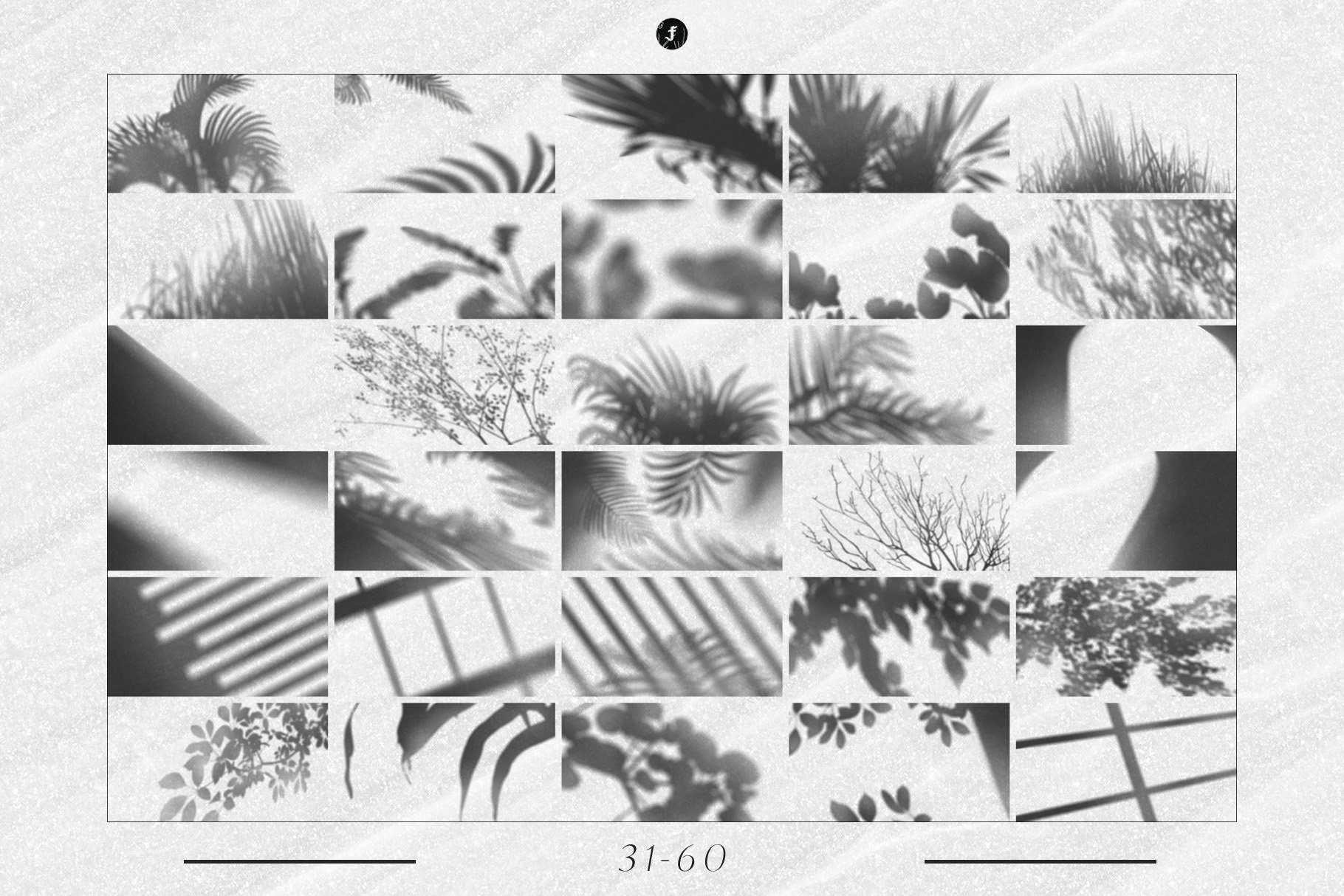 100 Shadow Overlays | Sunlight Shadow PNG Photo Overlays, Palm Shadow ...
