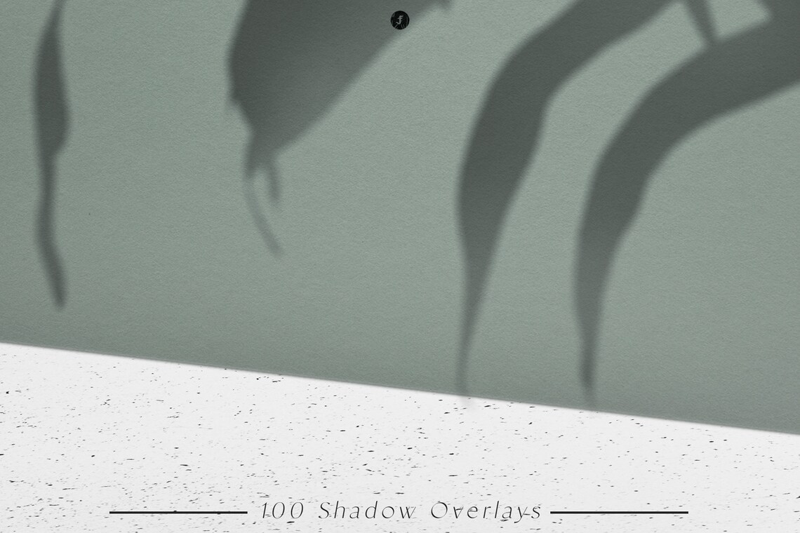 100 Shadow Overlays Sunlight Shadow PNG Photo Overlays, Palm Shadow ...