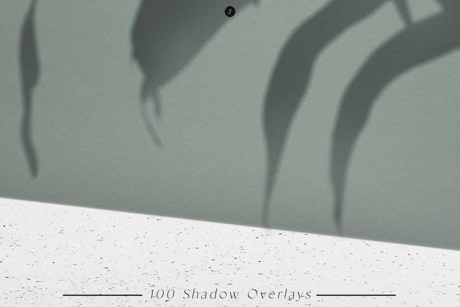 100 Shadow Overlays | Sunlight Shadow PNG Photo Overlays, Palm Shadow ...