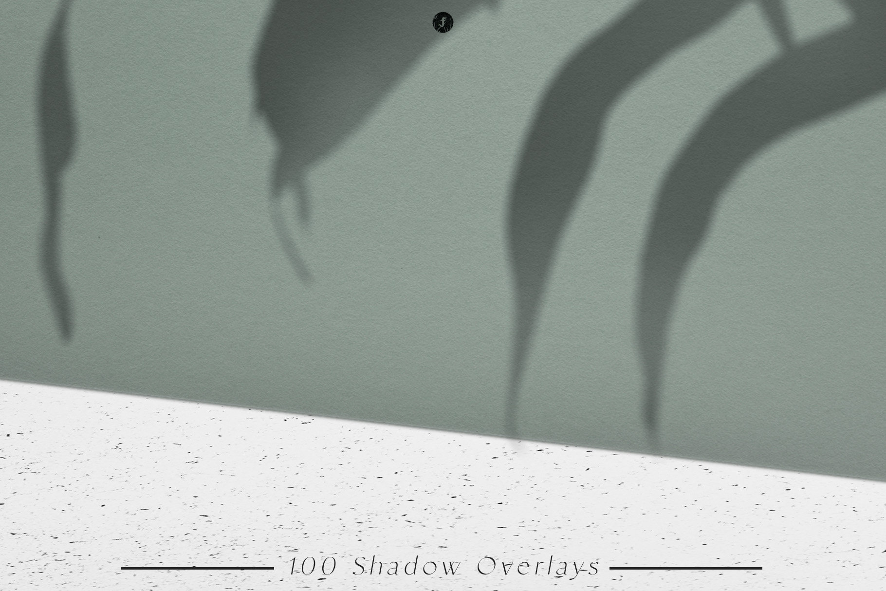 100 Shadow Overlays | Sunlight Shadow PNG Photo Overlays, Palm Shadow ...