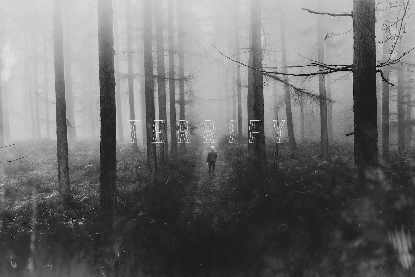 Halloween Photo Overlays | Horror Film Effect, Scary Overlay, Scary ...