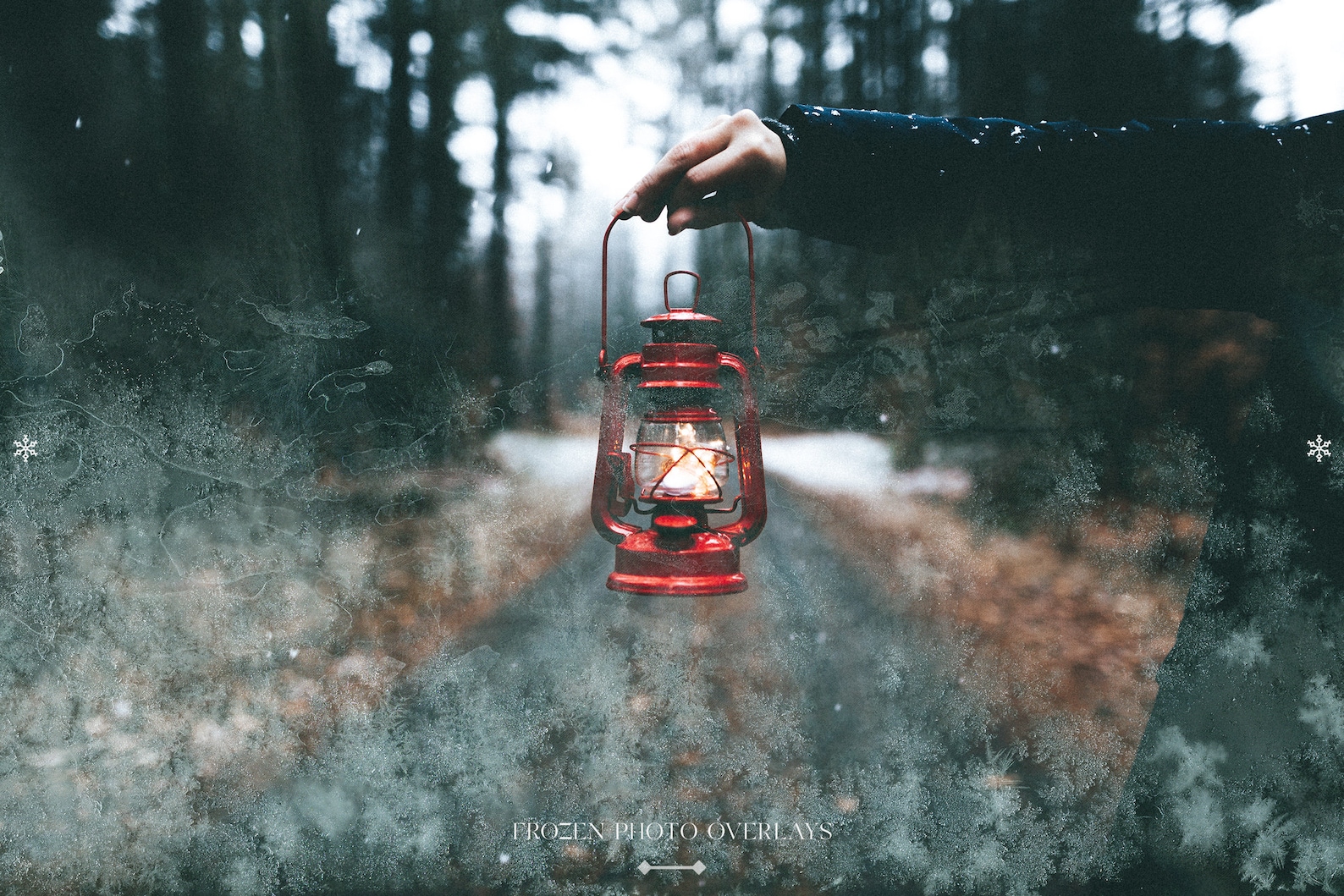 Frozen Photo Overlays | Winter Photo Overlay, Christmas Overlay, Snow ...