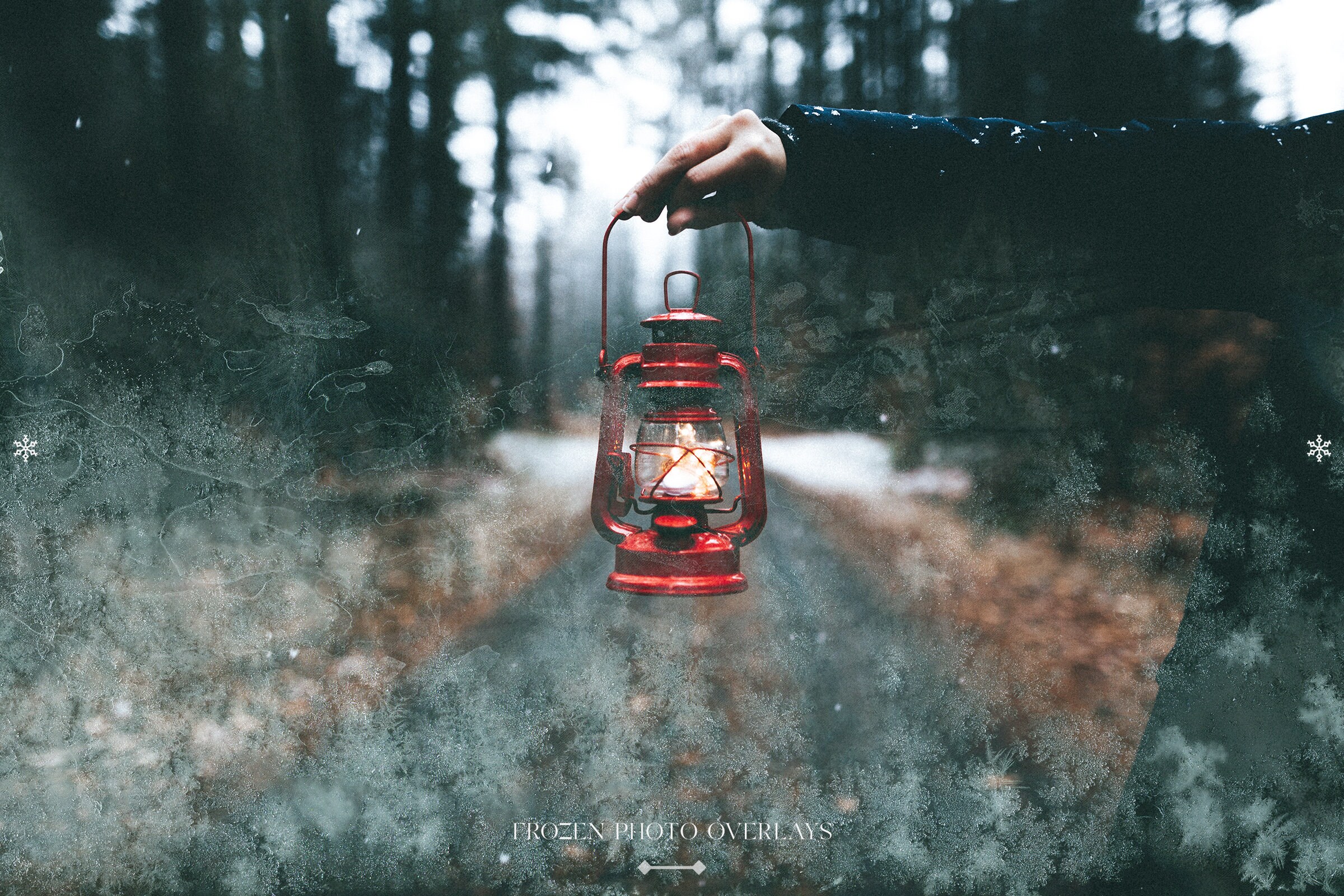 Frozen Photo Overlays | Winter Photo Overlay, Christmas Overlay, Snow ...