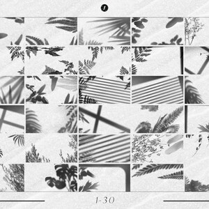 100 Shadow Overlays | Sunlight Shadow PNG Photo Overlays, Palm Shadow ...