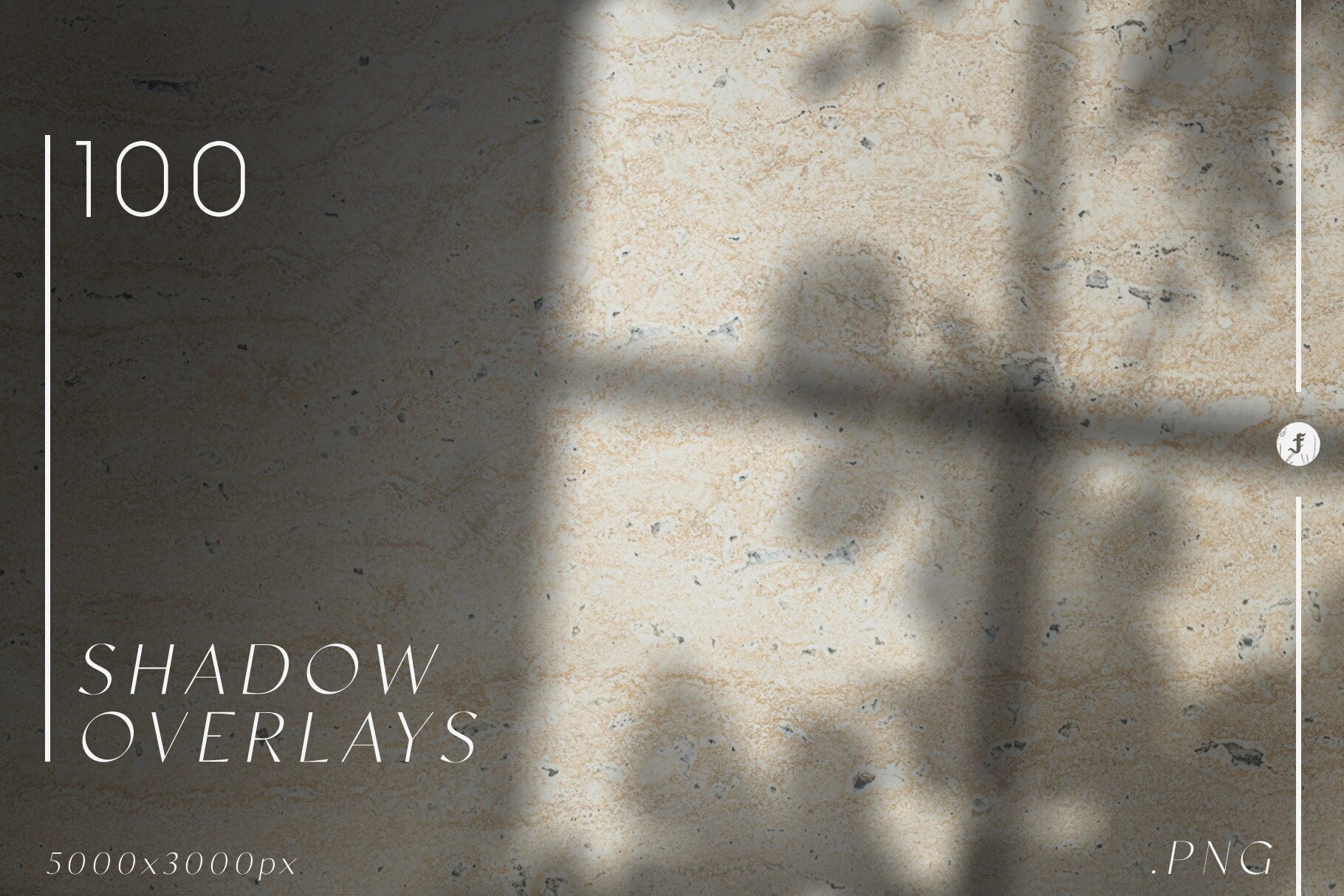 100 Shadow Overlays | Sunlight Shadow PNG Photo Overlays, Palm Shadow ...