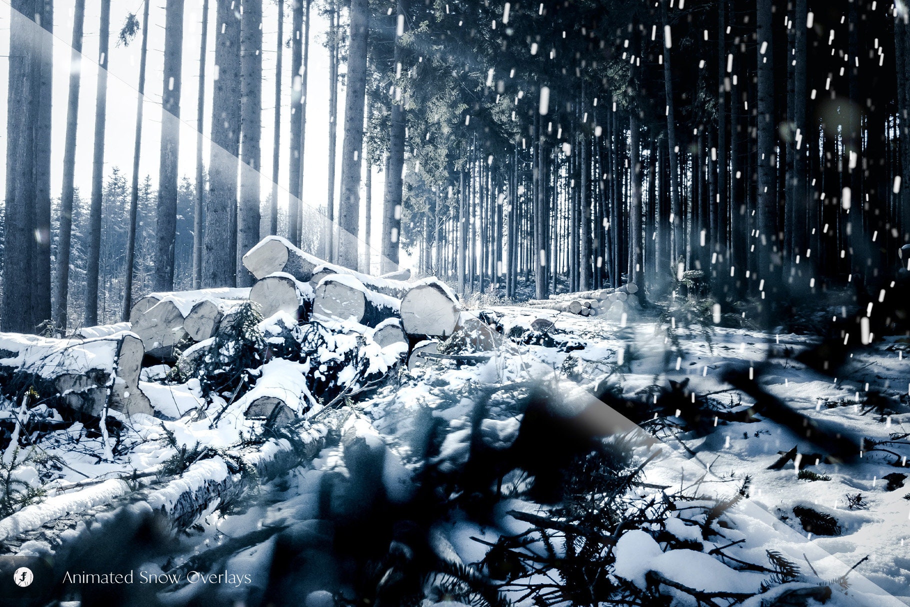 10 Animated Falling Snow Overlays | Animated Snow, Falling Snow Overlay ...