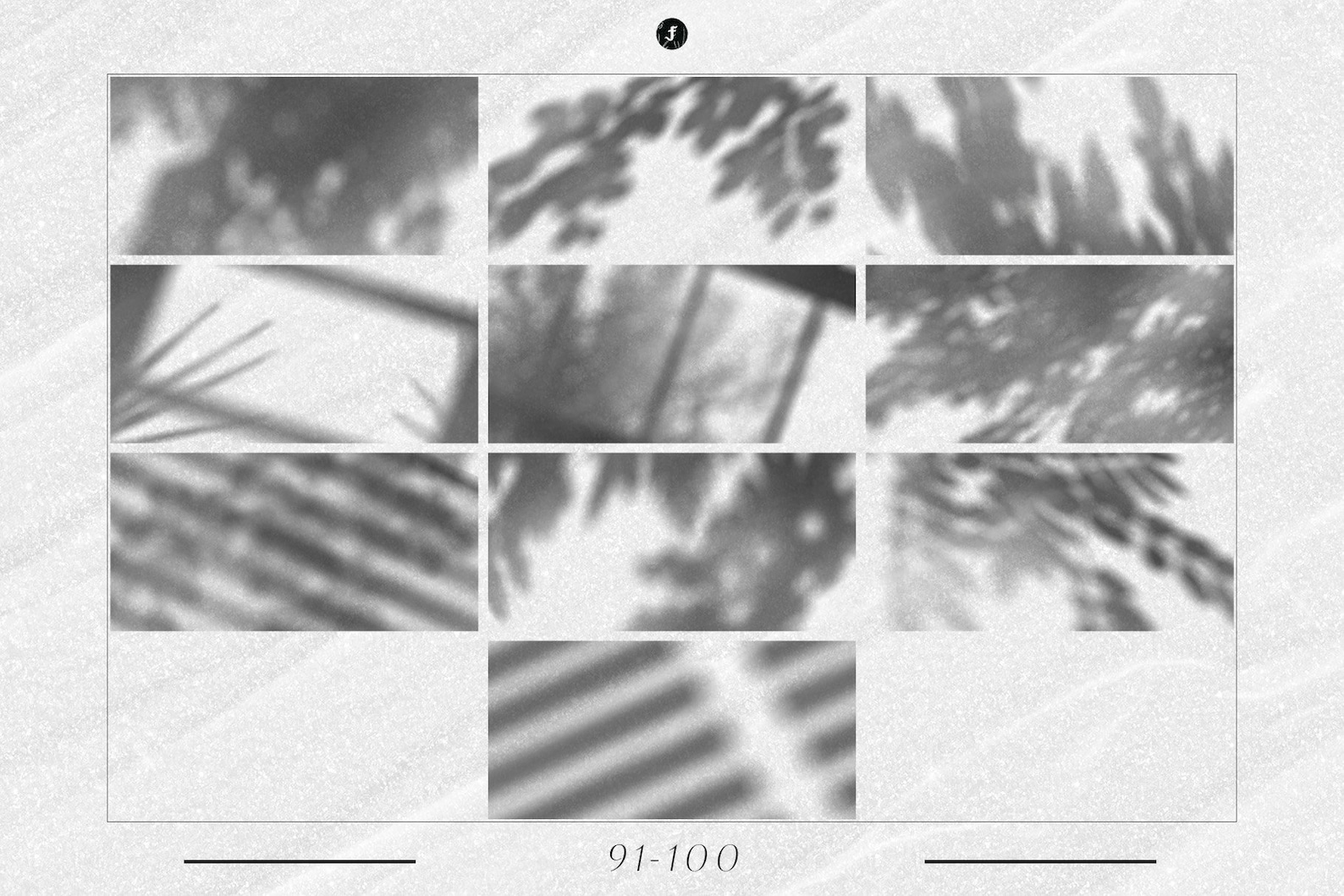 100 Shadow Overlays | Sunlight Shadow PNG Photo Overlays, Palm Shadow ...
