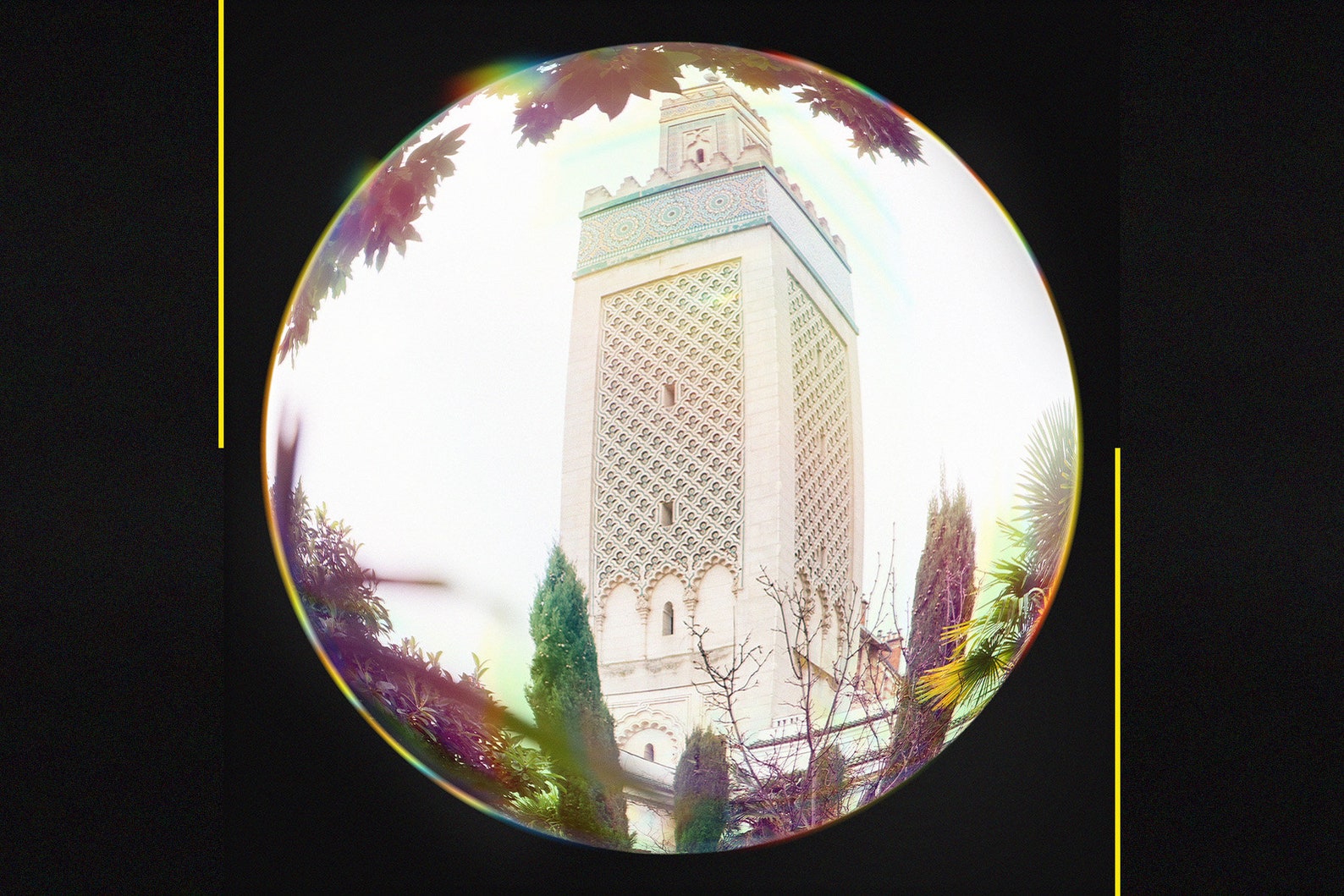 Fisheye Lens Photo Effect | Photoshop Effect, Analog Camera, Fisheye ...