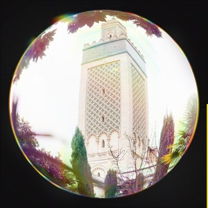 Fisheye Lens Photo Effect | Photoshop Effect, Analog Camera, Fisheye ...