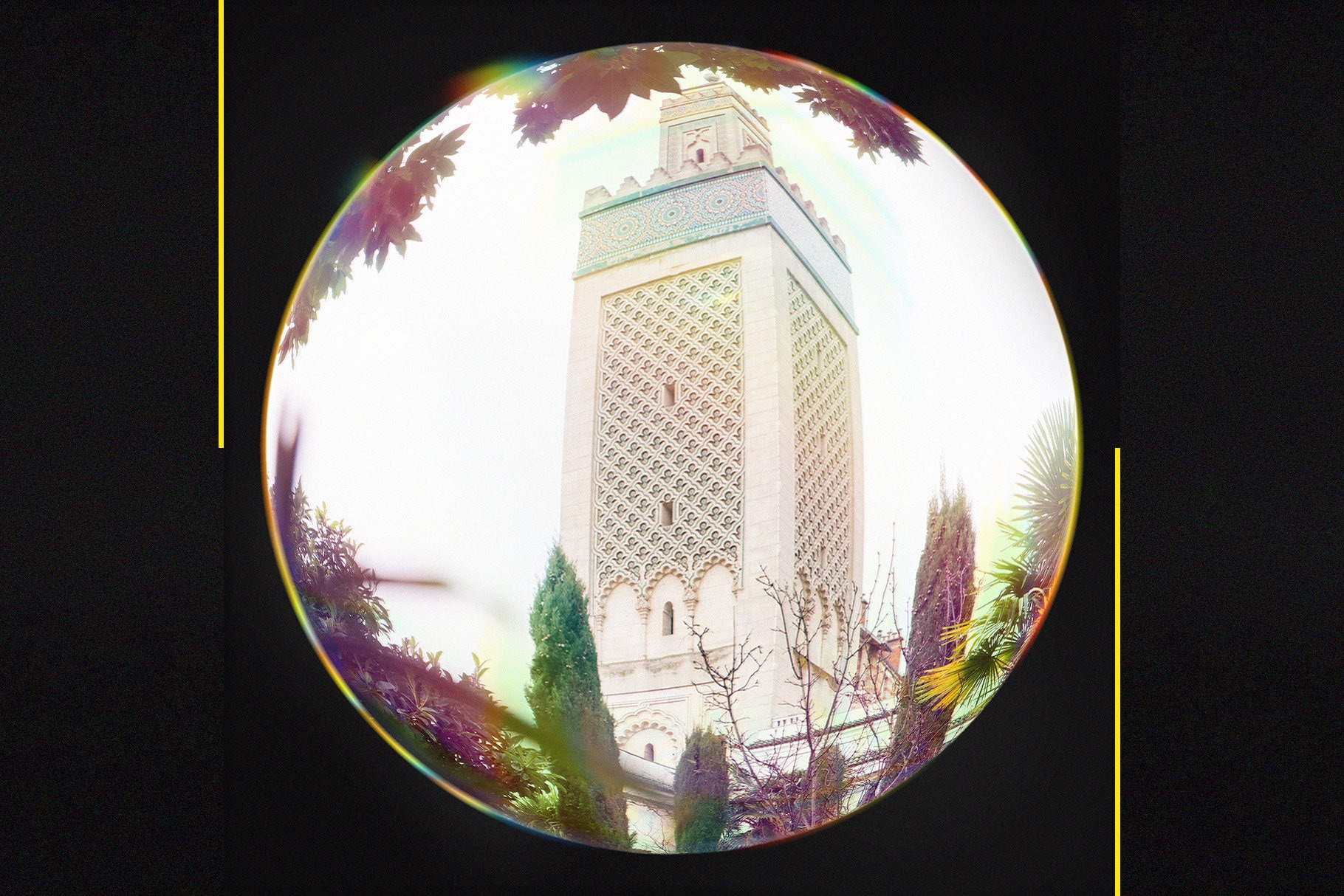 Fisheye Lens Photo Effect | Photoshop Effect, Analog Camera, Fisheye ...