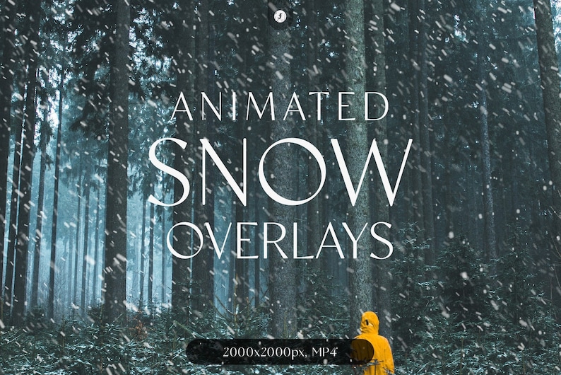 10 Animated Falling Snow Overlays | Animated Snow, Falling Snow Overlay ...