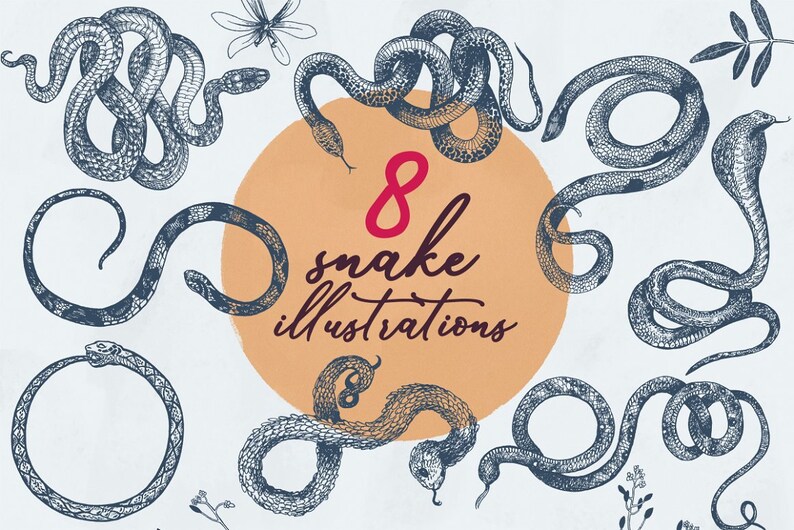 Botany and Snakes - Graphic Set | Snake PNG Illustrations, Botanical ...