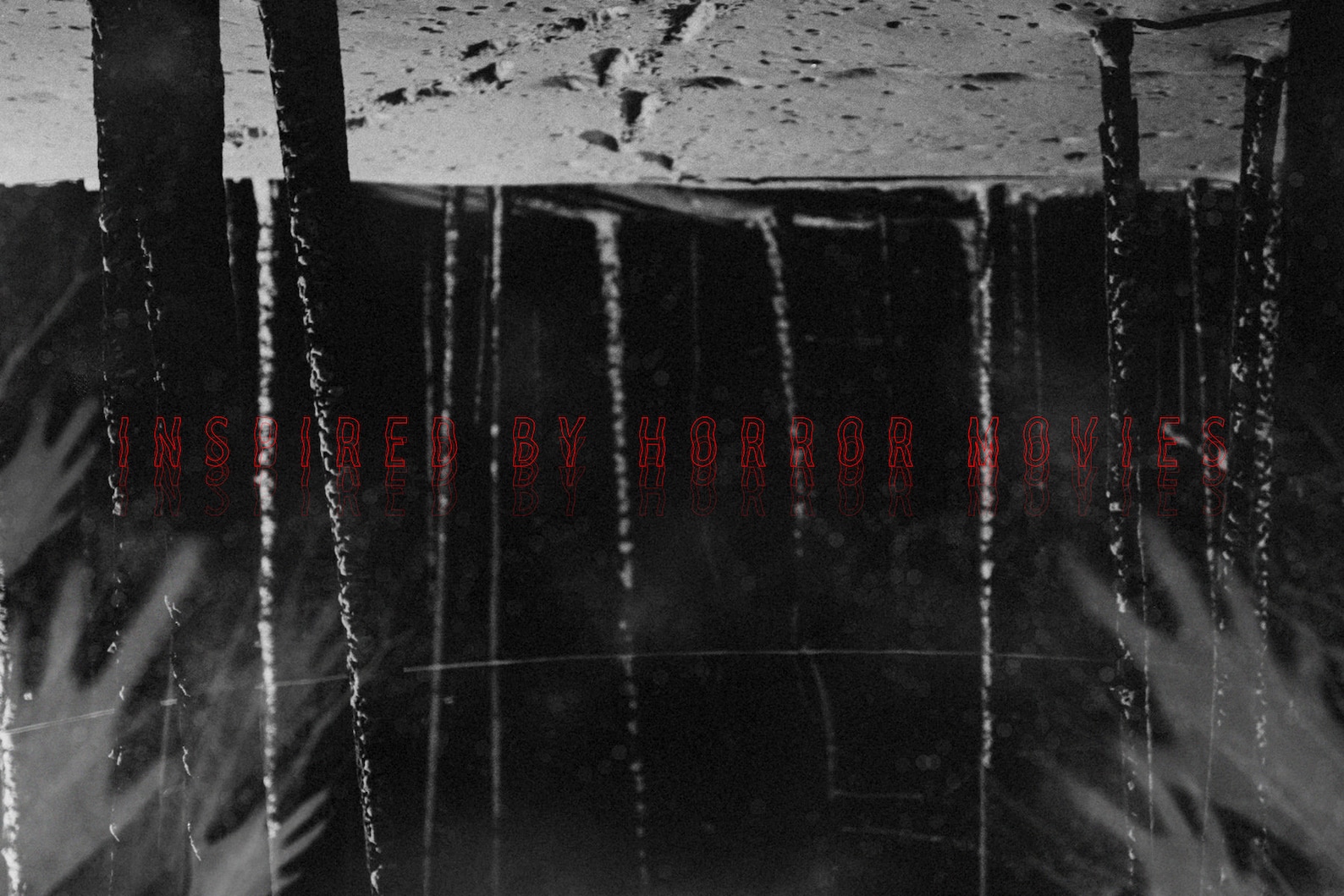 Halloween Photo Overlays | Horror Film Effect, Scary Overlay, Scary ...