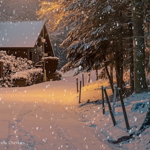 10 Animated Falling Snow Overlays | Animated Snow, Falling Snow Overlay ...