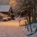 10 Animated Falling Snow Overlays | Animated Snow, Falling Snow Overlay ...