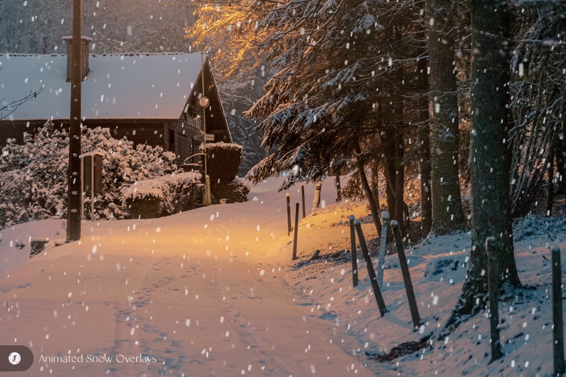 10 Animated Falling Snow Overlays | Animated Snow, Falling Snow Overlay ...