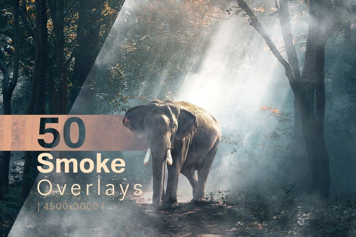 50 Smoke Photo Overlays | Mist Photoshop Overlays, Smoke Overlays ...