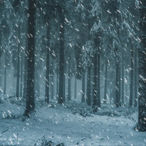 10 Animated Falling Snow Overlays | Animated Snow, Falling Snow Overlay ...