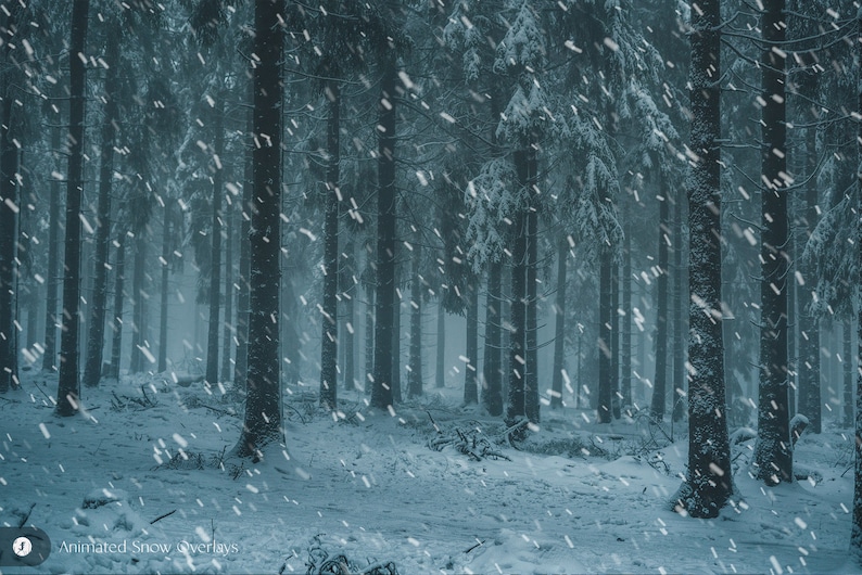10 Animated Falling Snow Overlays | Animated Snow, Falling Snow Overlay ...