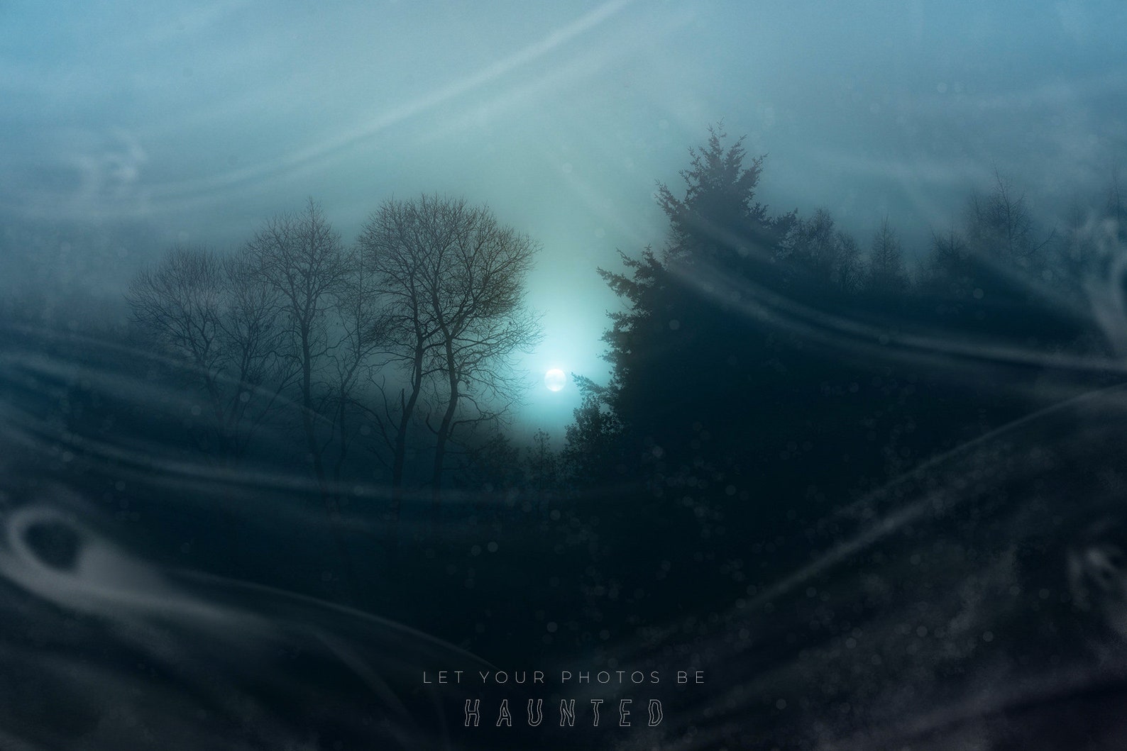 Halloween Photo Overlays | Horror Film Effect, Scary Overlay, Scary ...